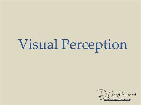 PDF Visual Perception