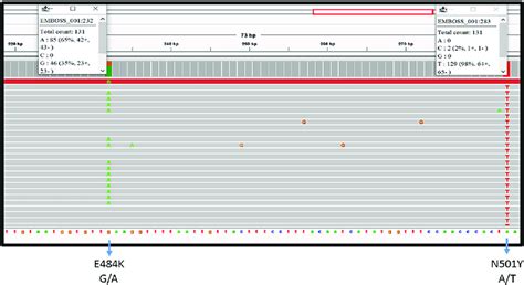 Igv Results Of Galaxy Mapping At Positions 232 And 283 Showing