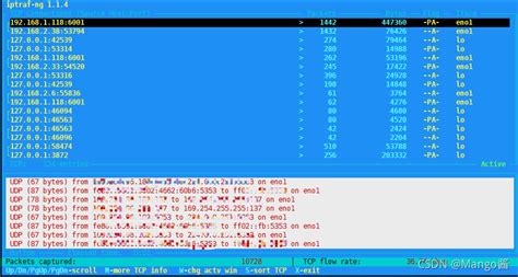 03 带宽分析 Linux服务器上监控网络带宽的18个常用命令和linux带宽流量监控查看工具服务器流量监控 Csdn博客
