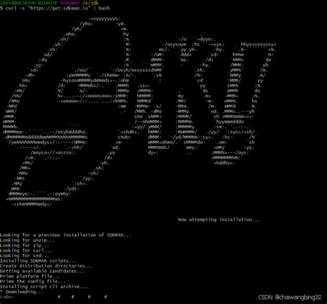 用sdkman管理多个jdk切换 Csdn博客