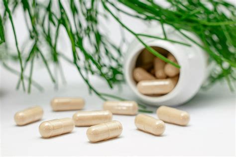5 Powerful Probiotics With Fiber For A Healthier Gut