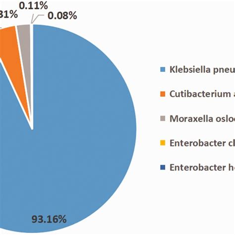 Results Of Nanopore Based Metagenomic Next Generation Sequencing For Download Scientific