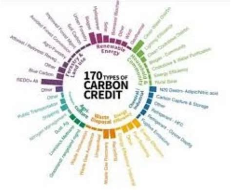 Carbon Credit Validation Registration Verification