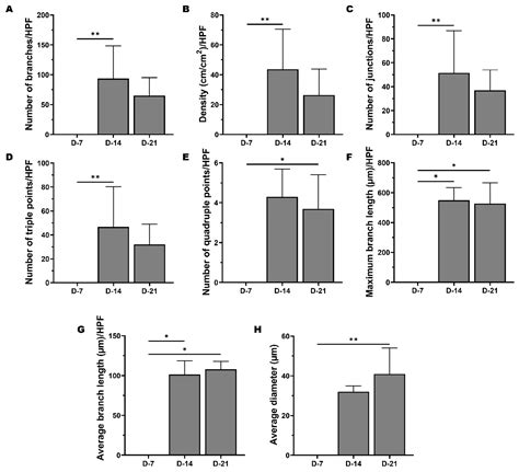 Figure 5 From A Novel Window Into Angiogenesis—intravital Microscopy In The Av Loop Model