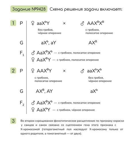 Задание №9428 Гетерогаметным полом у птиц является женский пол В
