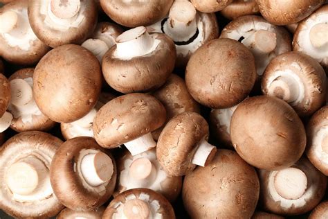 Types Of Cooking Mushrooms
