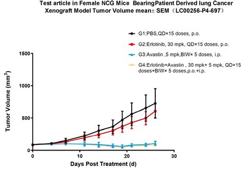 Ncg Mice Model Versatile Applications For Immunodeficiency Research