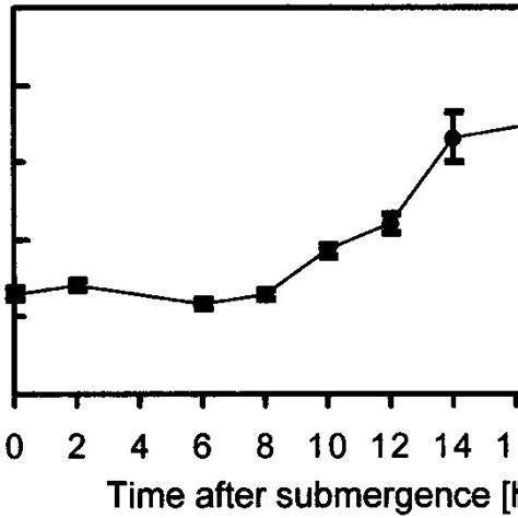 Submergence Induced Growth Of Adventitious Roots Adventitious Root