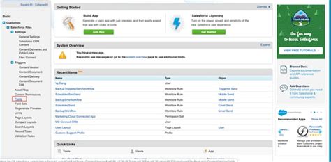 How To Fix Most Common Issues In Salesforce Beginners Guide Part 1