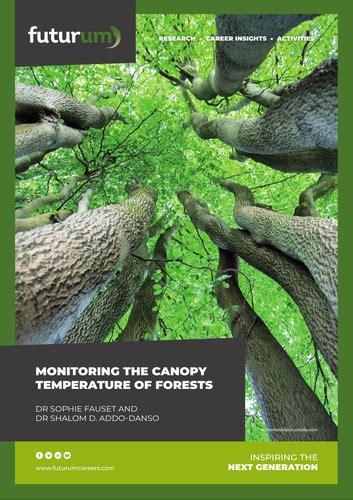 Monitoring The Canopy Temperature Of Forests Teaching Resources