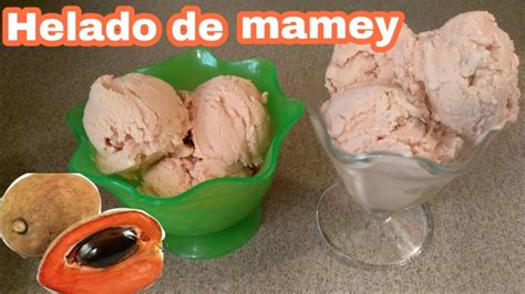 Cómo Hacer Helado De Mamey Casero Y Sin MÁquina Súper Cremoso Y