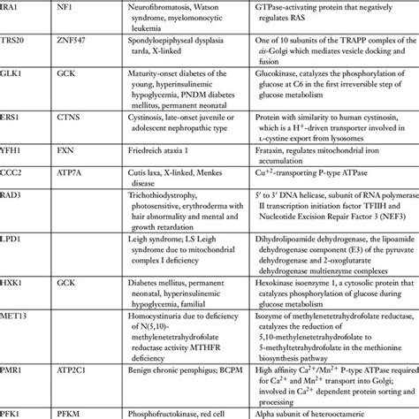 Complementation Of Yeast Mutants By Their Orthologous Human Genes Download Table