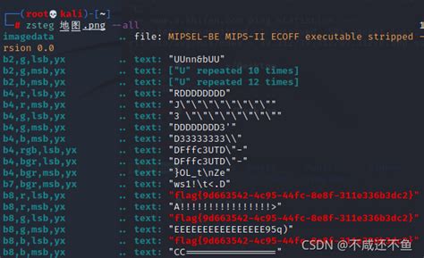一个比stegsolve更方便的工具—zsteg Csdn博客