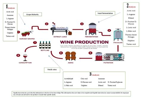 Wine Analysis Capella Innovation