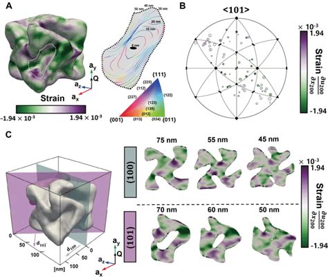 External And Internal Strain Field Distributions Induced By Geometric