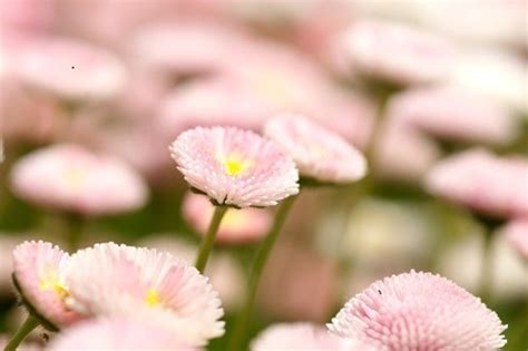 원예심리상담사 자격증 취득하시고 원예치료사가 되어 보세요