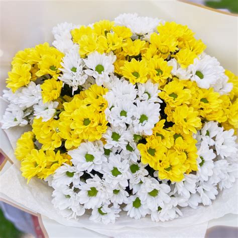 Хризантеми купити букет хризантем у Києві з доставкою додому Florina