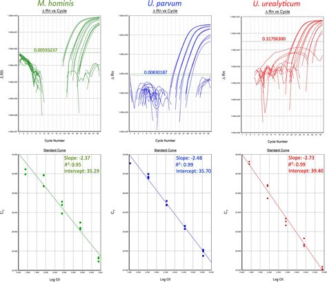 Development Of A Rapid And High Throughput Multiplex Real Time Pcr Assay For Mycoplasma Hominis