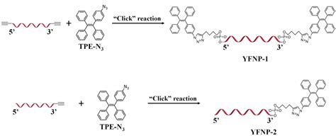 A Target Triggered Emission Enhancement Strategy Based On A Y Shaped