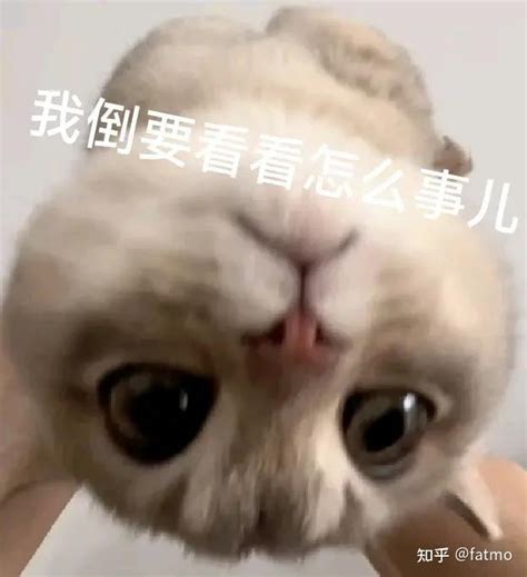 如何评价curl和libcurl库史诗级漏洞影响 知乎