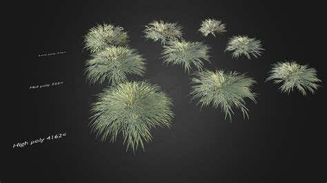 Hakonechloa Macra 3d Model By Livin Vision Livinvision [2e133bf] Sketchfab