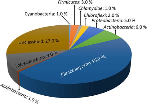 Pie Chart Illustrating The Relative Abundance Of Different Bacterial