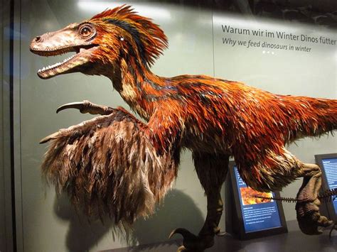 Feathery Theropod By Mandymoon Via Flickr Geologic Time Scale