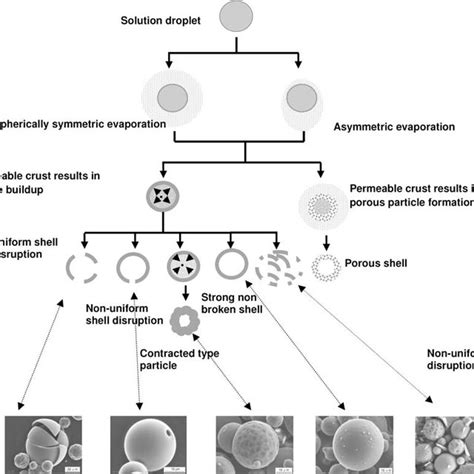 Tem Of Iron Nanoparticle Synthesized By Microemulsion Method 69