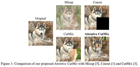 论文阅读：attentive Cutmix Csdn博客