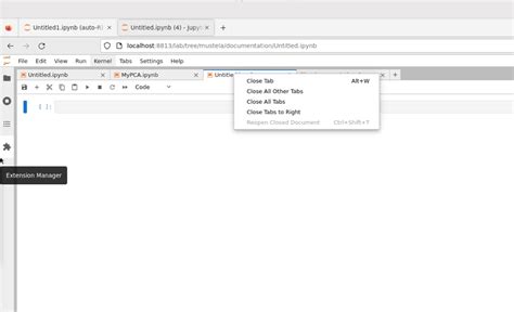 Missing Option New View For Notebook Jupyterlab Jupyter Community Forum