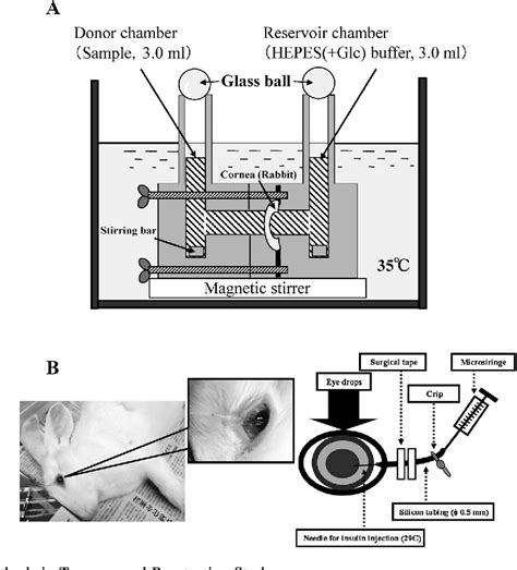 Figure 2 From Design Of Novel Ophthalmic Formulation Containing Drug Nanoparticles And Its