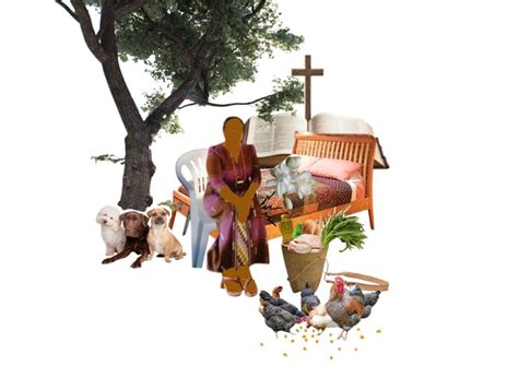 Residential Project Users Analysis Soad School Of Architecture And Design