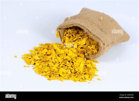 Cork Tree Bark Cortex Phellodendri Huang Bo Huang Bai Cut Out