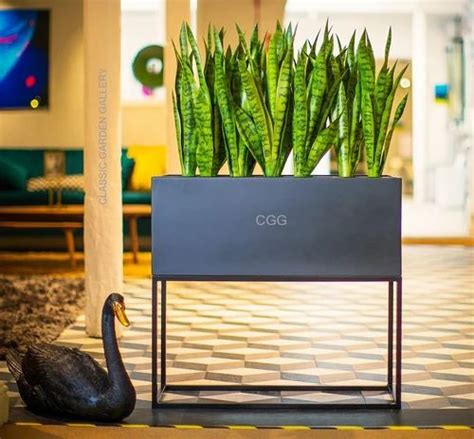 Rectangle Planter Box At ₹ 2500 Rectangular Planter In Hyderabad Id