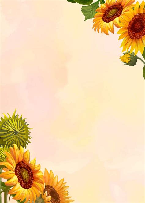 Sunflower Images Free Hd Backgrounds Pngs Vector Graphics