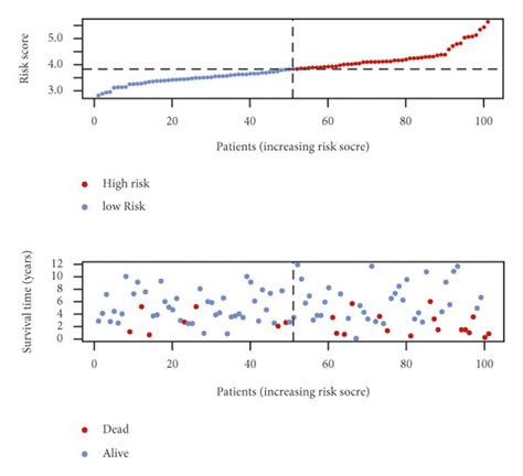 Construction And Validation Of An Immunity Based Risk Signature