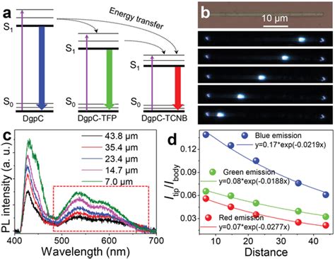 A Energy Transfer Diagram Between The Core And Heterogeneous Shell