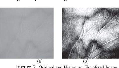 figure 1 from palmprint identification using transform domain and