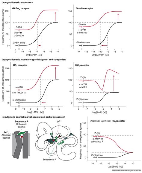 Allosteric Enhancers Allosteric Agonists And Ago Allosteric Modulators Where Do They Bind And