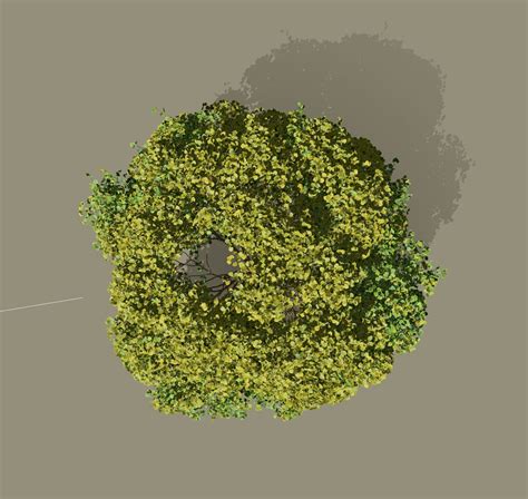 Tree Wind Animation D Model TurboSquid