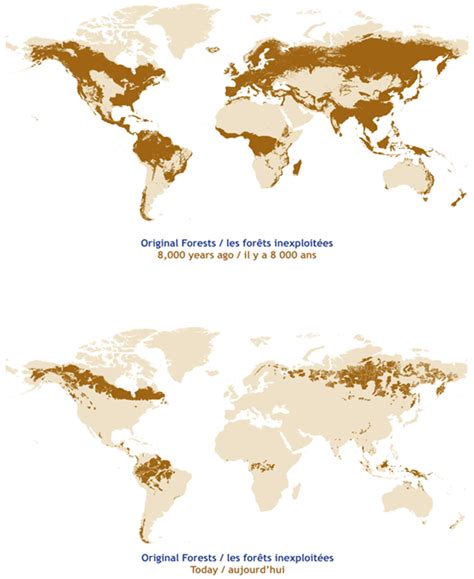 Geography Deforestation In Kalimantan