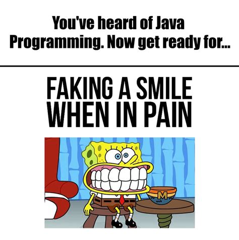 Corrected Java Programming Rprogrammerhumor