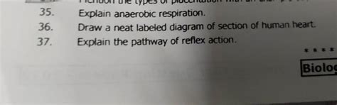 35 Explain Anaerobic Respiration 36 Draw A Neat Labeled Diagram Of Sec