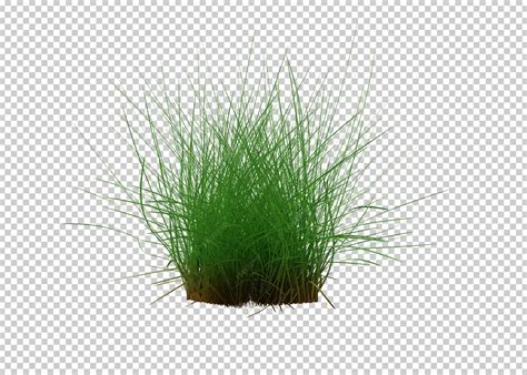 Premium Psd Grass Cutout 3d Rendering Illustration