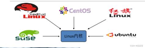 Linux介绍 Csdn博客
