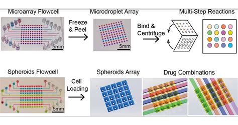 Microarray Platforms Based On 3d Printing Analytical Chemistry