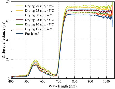 Diffuse Reflectance Spectra Measured In The Vis Nir Range Of Leaves Of Download Scientific