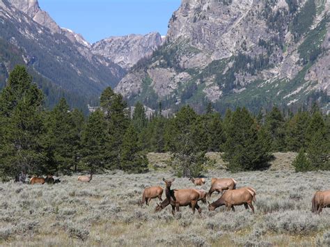 Free Images Landscape Nature Grass Wilderness Meadow Valley