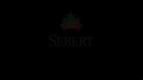 Laura Birtas On Linkedin Sebert Video Series Our Second Of Six Short Videos Airing Each