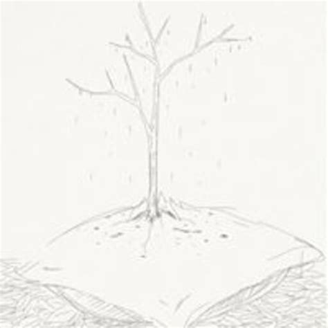 Ziyan Chen University Of Toronto Toronto U Of T Research Profile